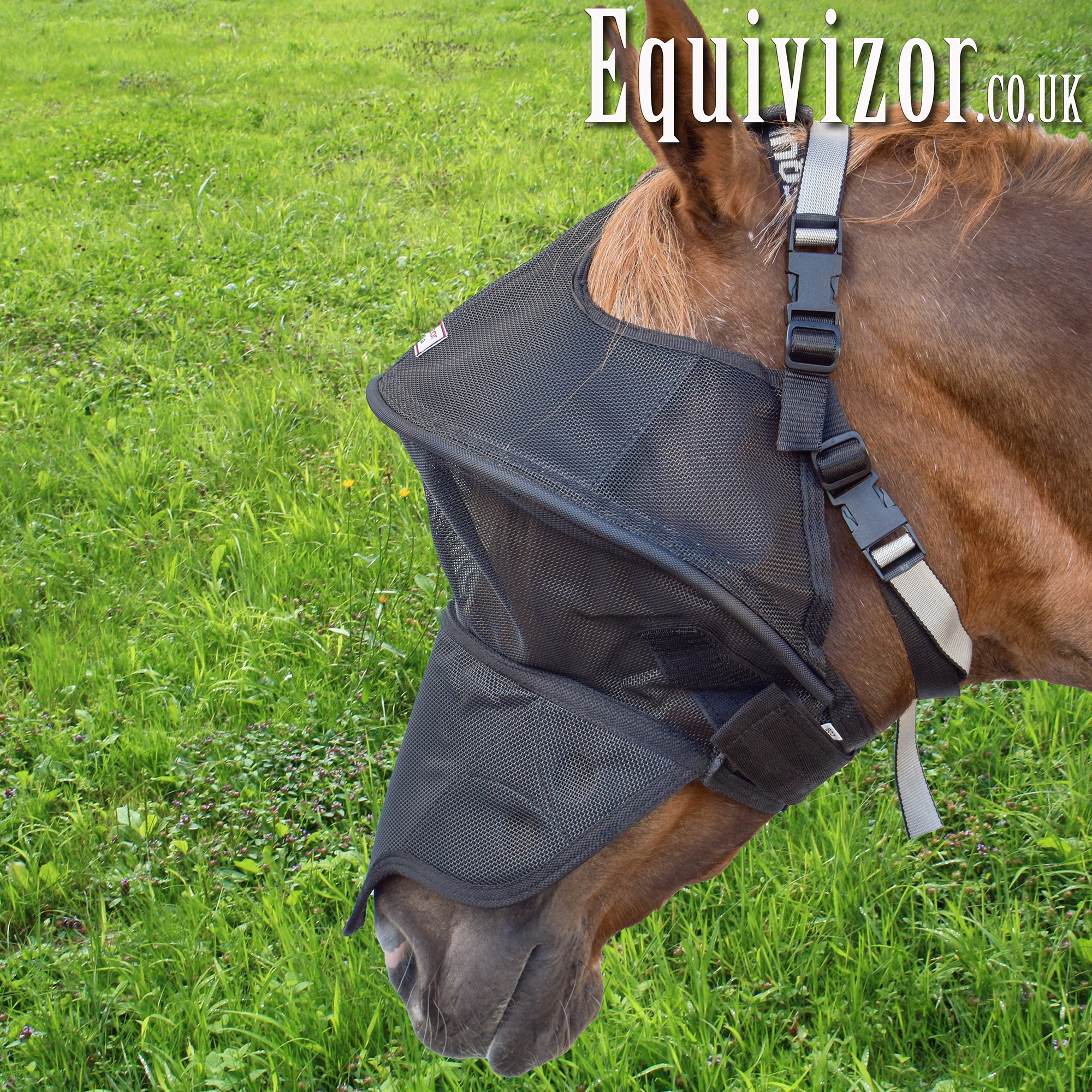 Equivizor - Advanced Head Protection For Horses